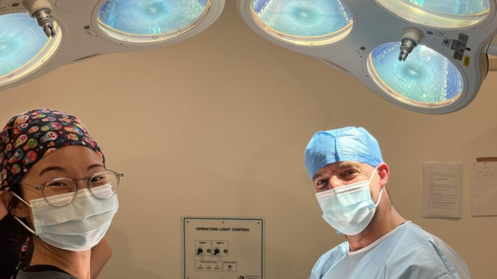 Brighton Veterinary Hospital - Brighton Veterinary Hospital