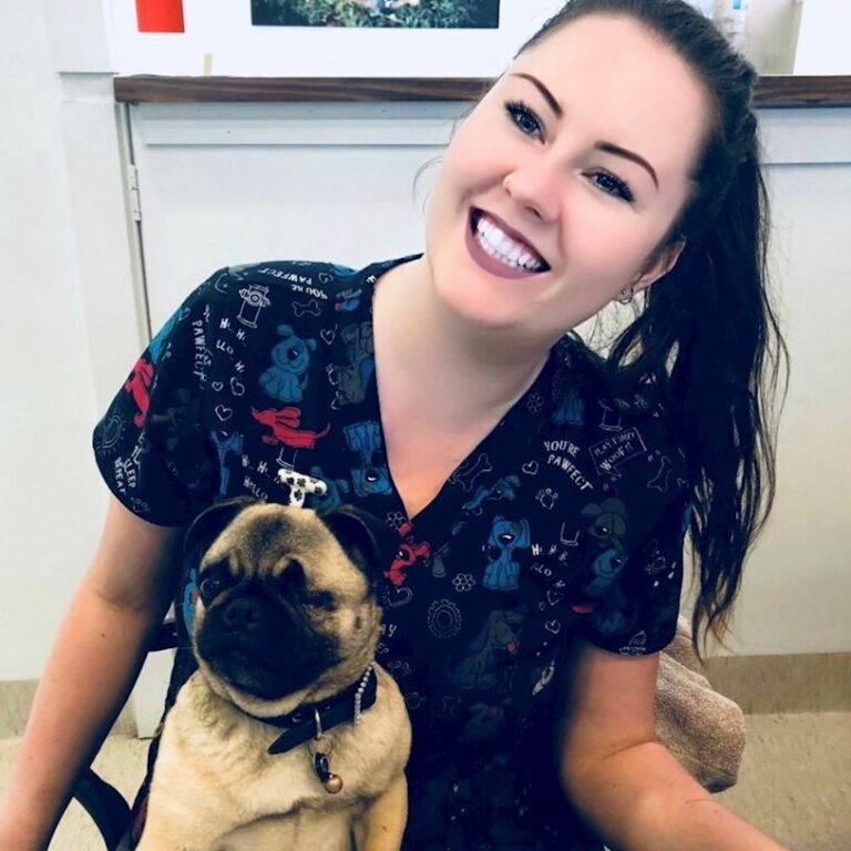 About - Brighton Veterinary Hospital